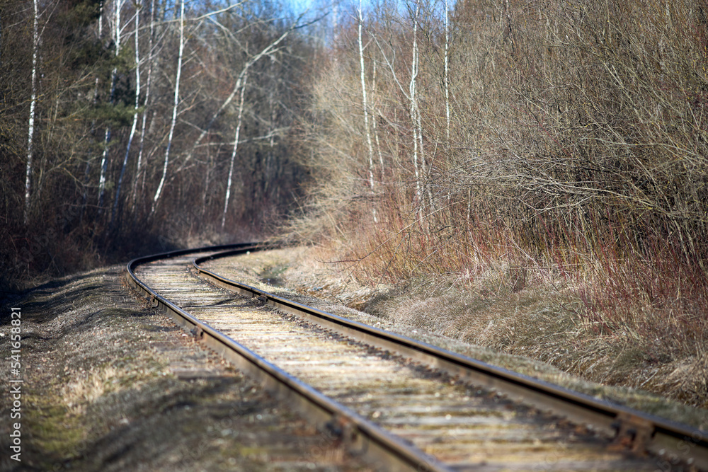 Foto de Railway track selective focus in the spring forest with blue ...