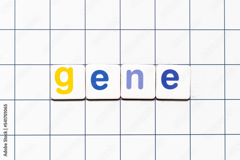 Colorful tile letter in word gene on white grid background Stock Photo ...