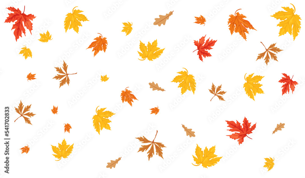 Falling autumn maple and oak leaves. Vector realistic illustration ...