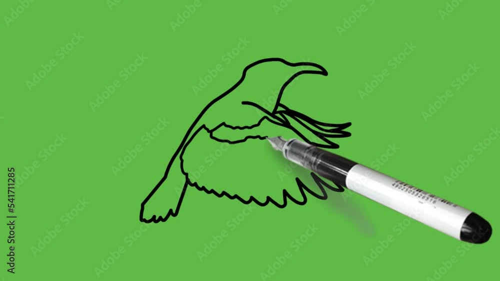 Draw sitting bird with spreading its grey wings in blue, ferozi and ...