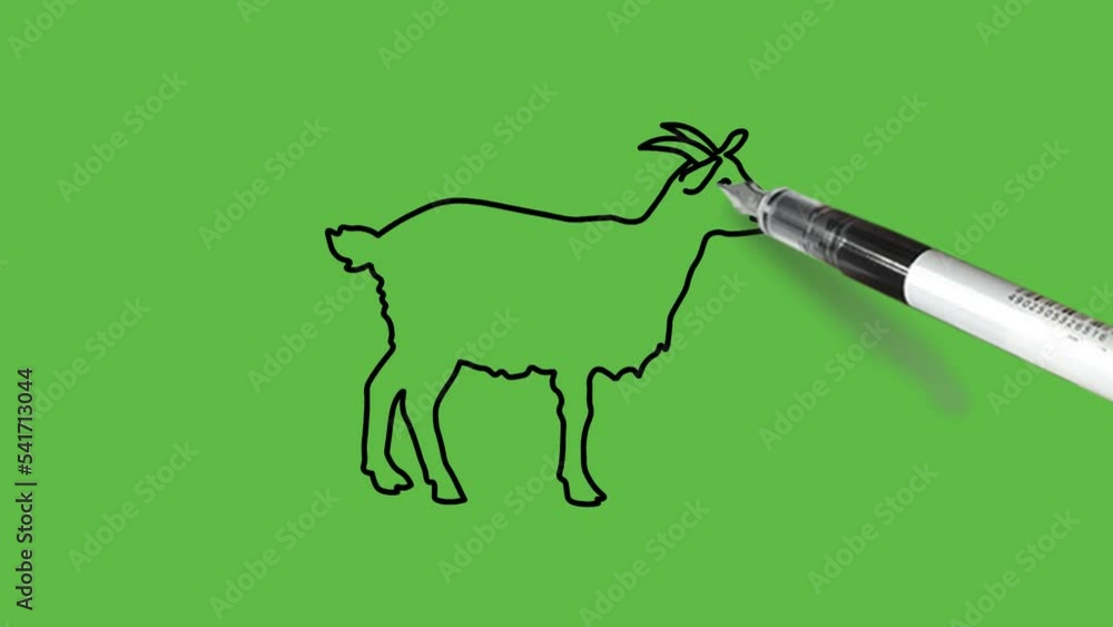 Draw male goat called buck in blue color combination with black outline ...