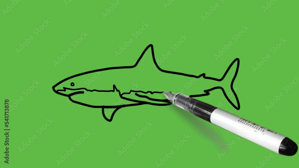 Draw carp fish aquatic animal in light and dark grey color combination ...