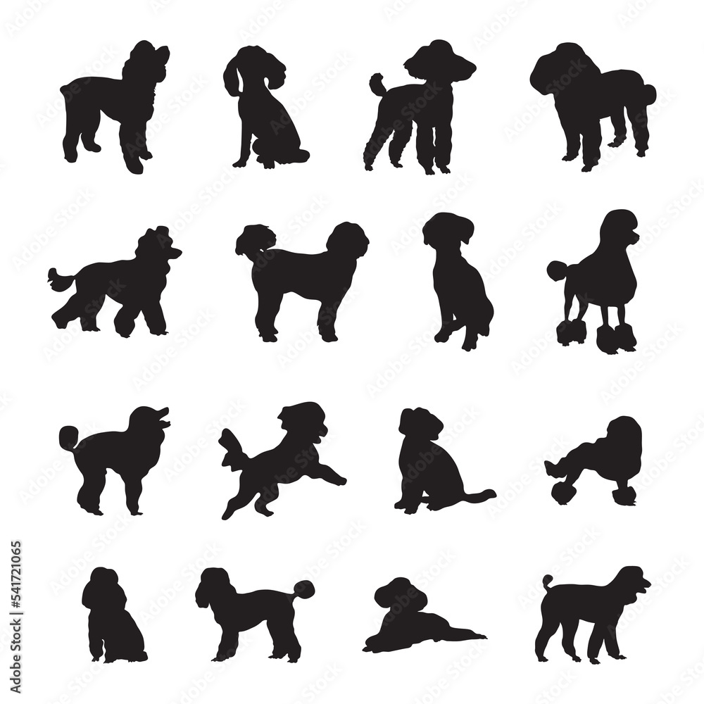 Poodle dog silhouettes, Poodle dog silhouette collection. Stock Vector ...