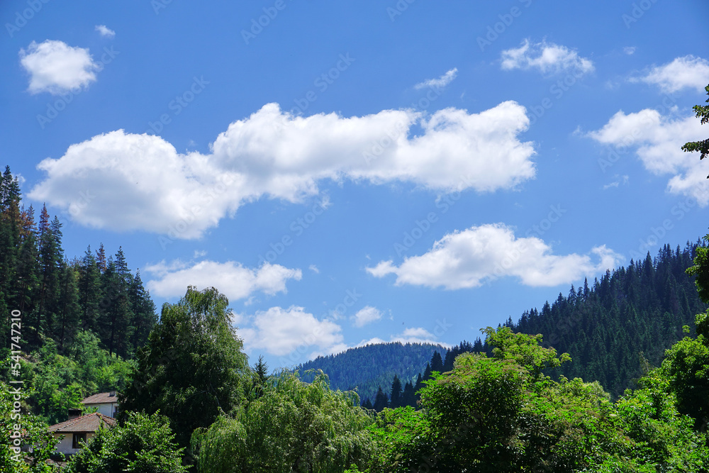 Traditional houses of Shiroka Laka village in Rhodope mountains ...