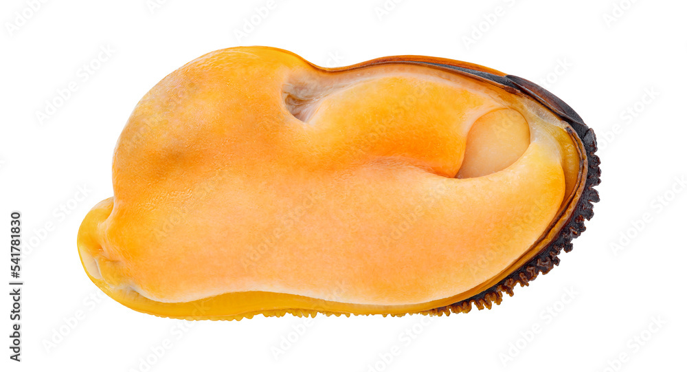 Mussel meat cooked boiled isolated on white background with clipping ...