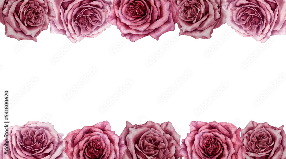Borders of watercolor pink roses. Design for Valentine's Day, wedding ...
