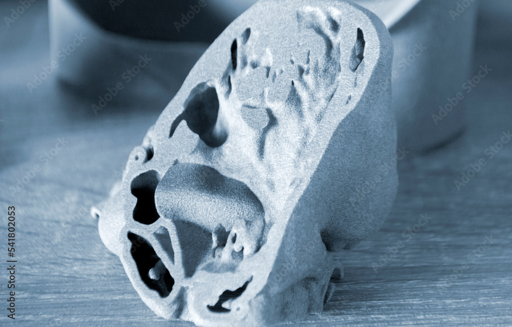 Prototype model cross section of human heart printed with powder 3D ...