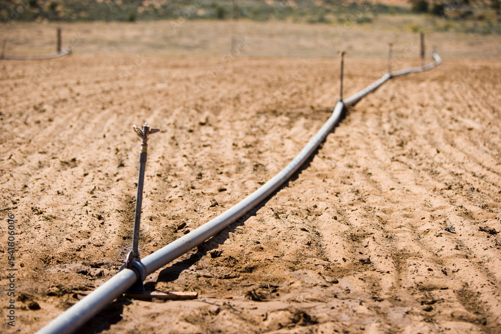 A dry tilled sandy field is about to be irrigated with sprinkler hand ...