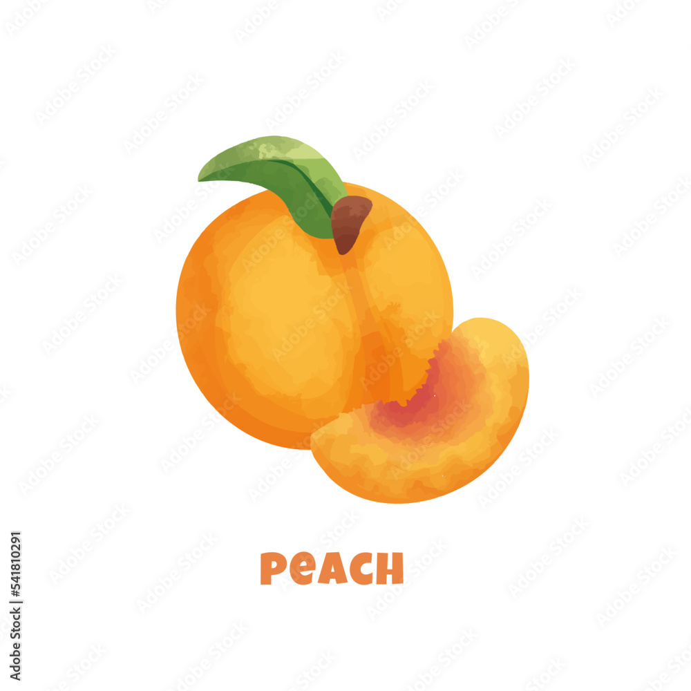 Colorful peach vector isolated on white background Stock Vector | Adobe ...