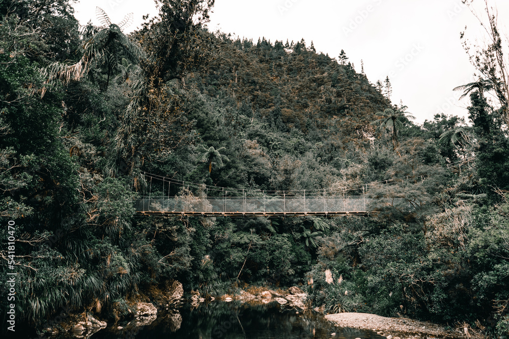 iron and wood suspension bridge crossing the calm river between jungle ...