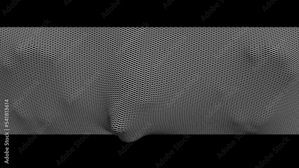 Mesh 3D animation for the show. Grid texture. Human head and hands ...