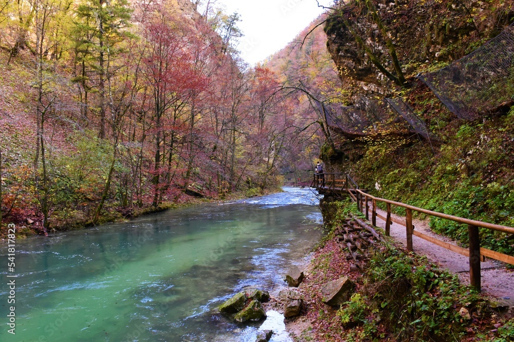 Vintgar gorge near Bled, Gorenjska, Slovenia with the foliage in red ...