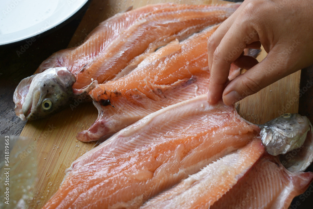 trout is a fish that lives in the high Andean rivers of the Peruvian ...