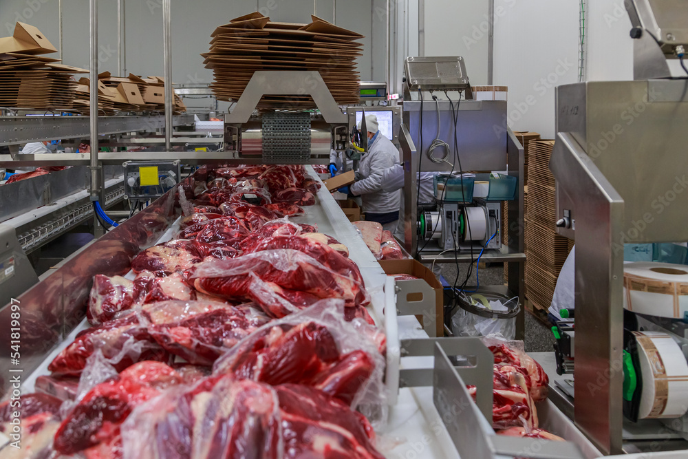 Packaging and labeling workshop of beef factory. Stock Photo | Adobe Stock