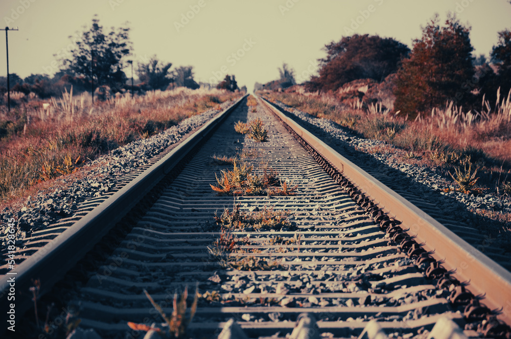 View of the train tracks in autumn Stock Photo | Adobe Stock