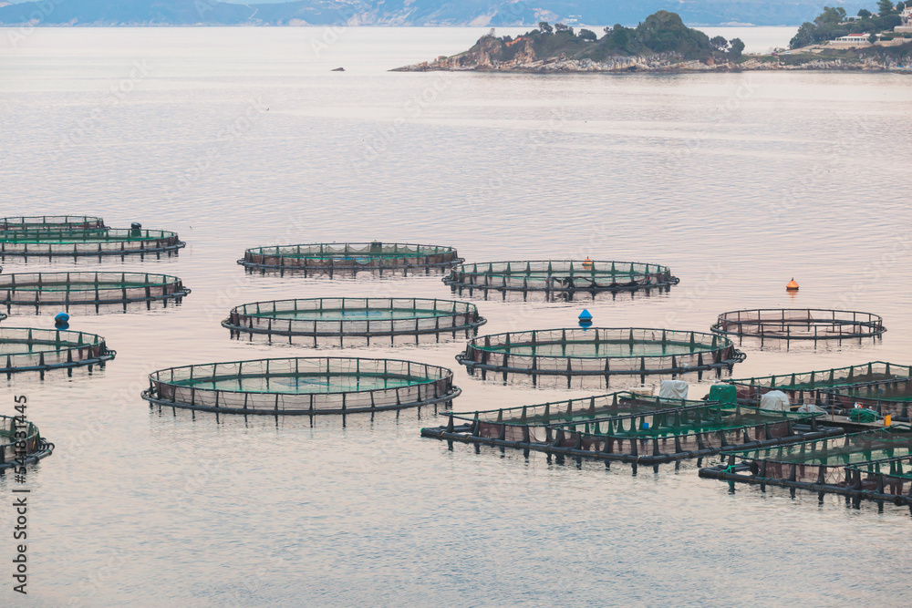 View of sea fish farm cages and fishing nets, farming dorado, sea bream ...