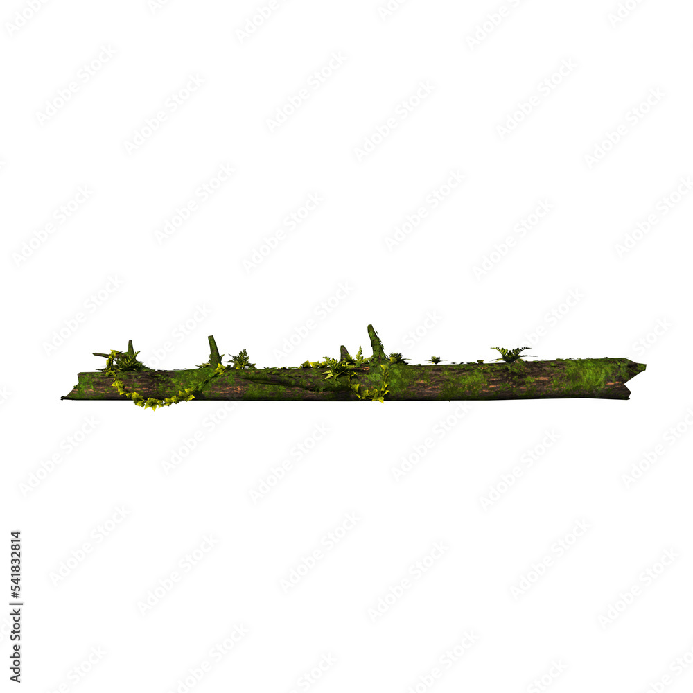 Front view of Tree (Fallen Tree Trunk 1) Plant png Stock-Foto | Adobe Stock