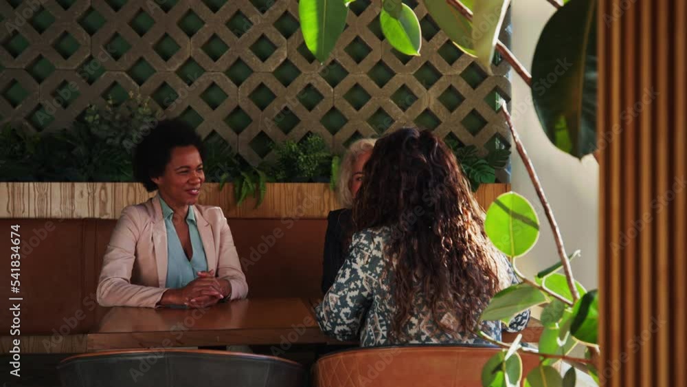 Businesswomen discussing in conference room Stock Video | Adobe Stock