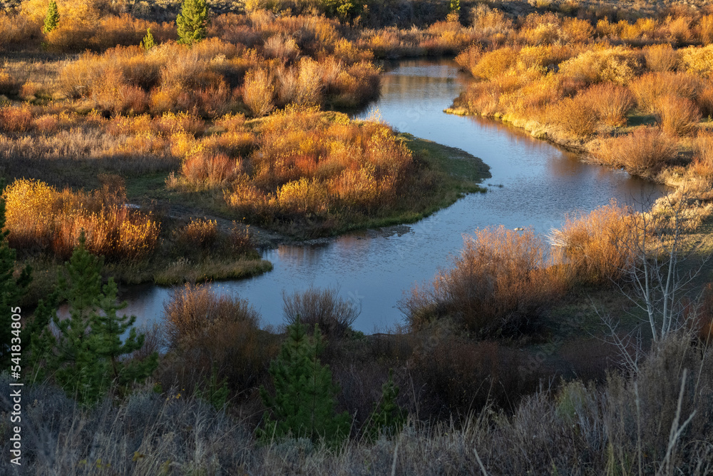 Colorado Creek in Fall Stock Photo | Adobe Stock