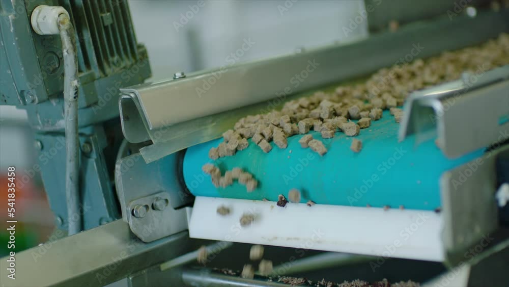 Food for dogs and cats travels on a conveyor. A conveyor belt in a ...