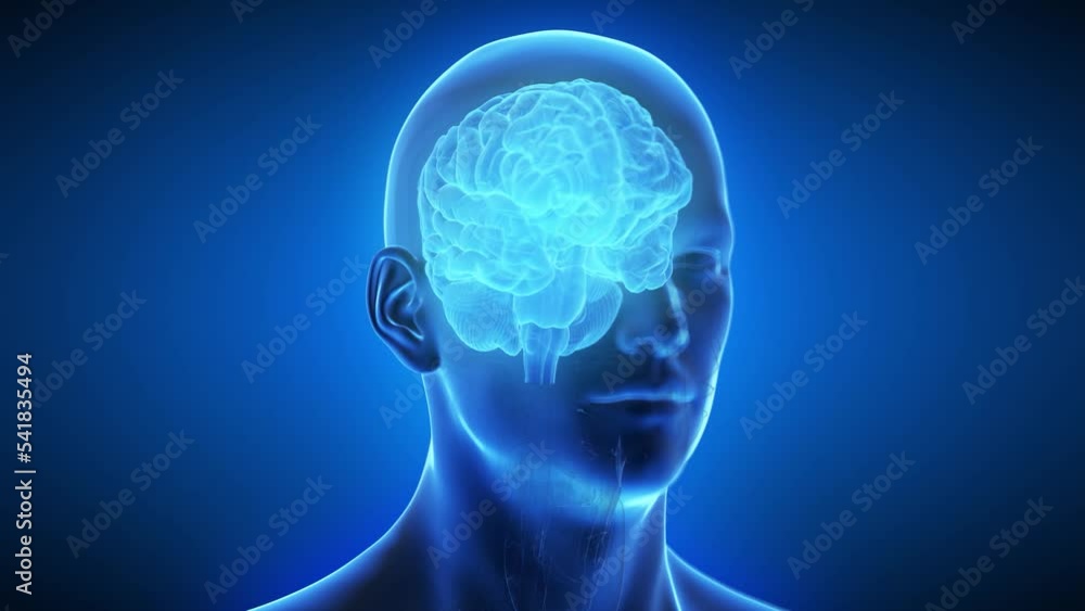 3d rendered medical animation of a degenerating brain Stock Video ...