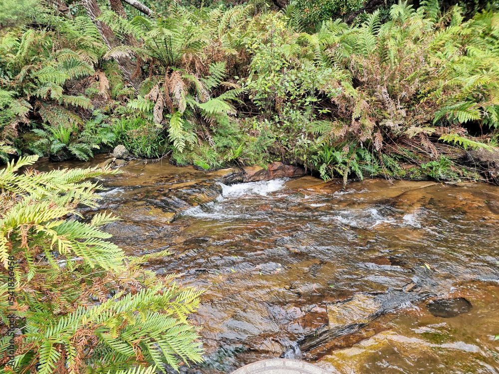 Small Stream and cascade at the top of the Leura Cascades in the Blue ...
