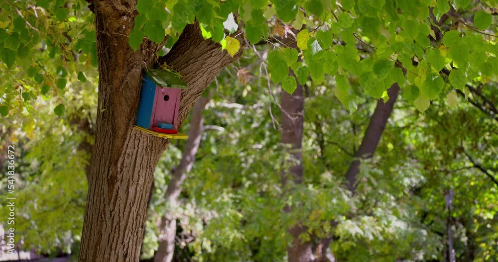 Birdhouse, bird house or nesting box on a tree in a autumn forest Stock ...