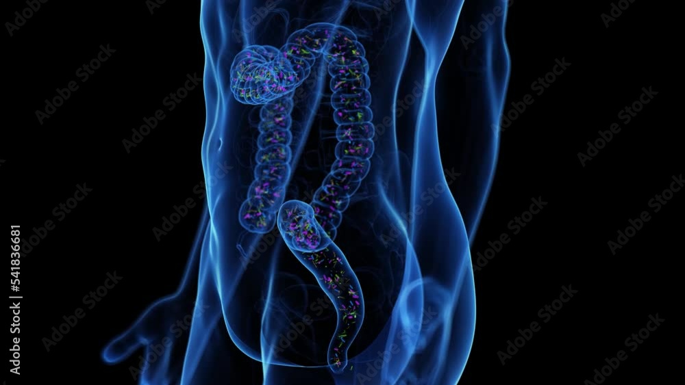 3d rendered medical animation of the intestinal microbiome Stock Video ...