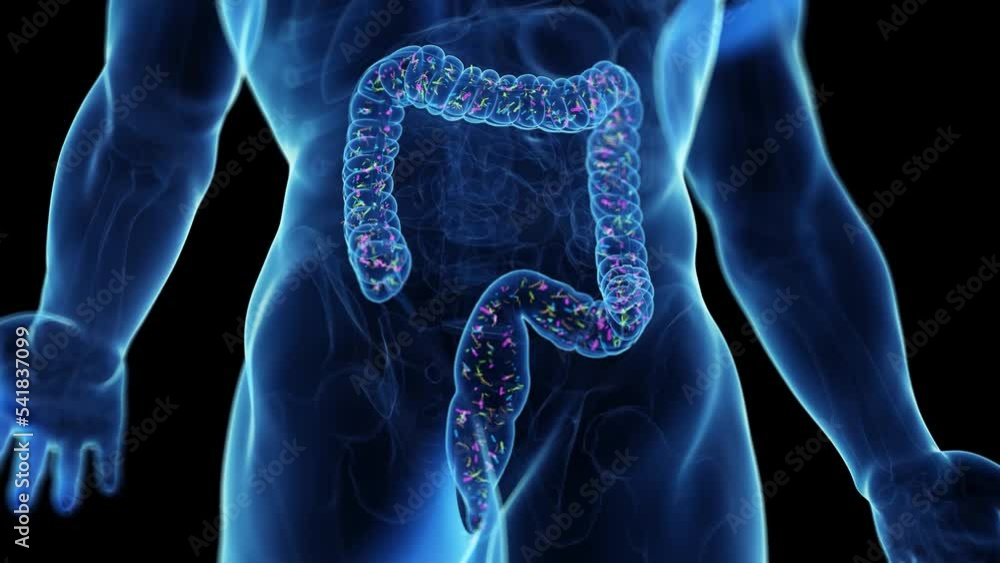 3d rendered medical animation of the intestinal microbiome Stock Video ...