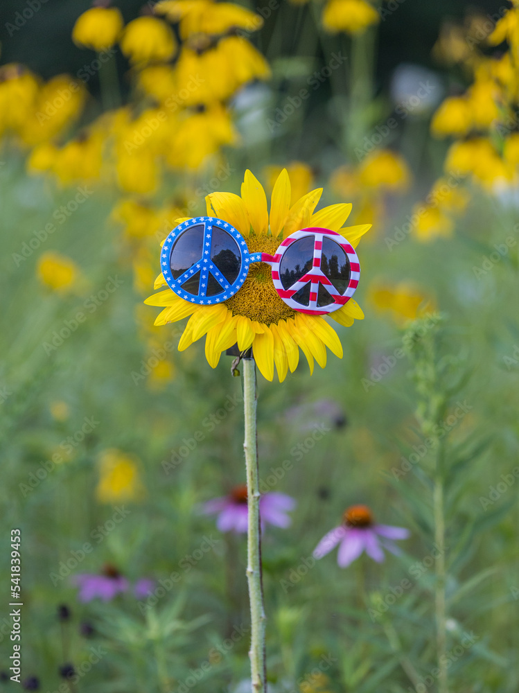 peace out sun flower Stock Photo | Adobe Stock
