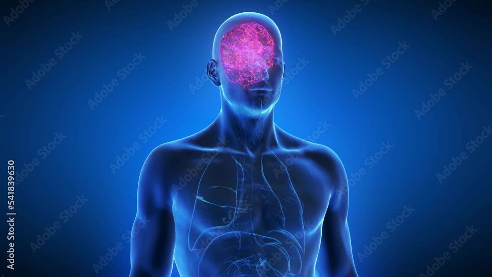 3d rendered medical animation of an infected brain Stock Video | Adobe ...