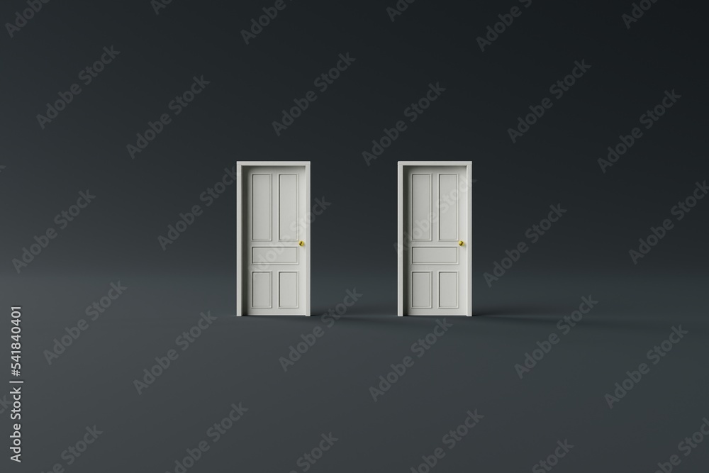 Two closed doors on the background. The concept of making decisions ...