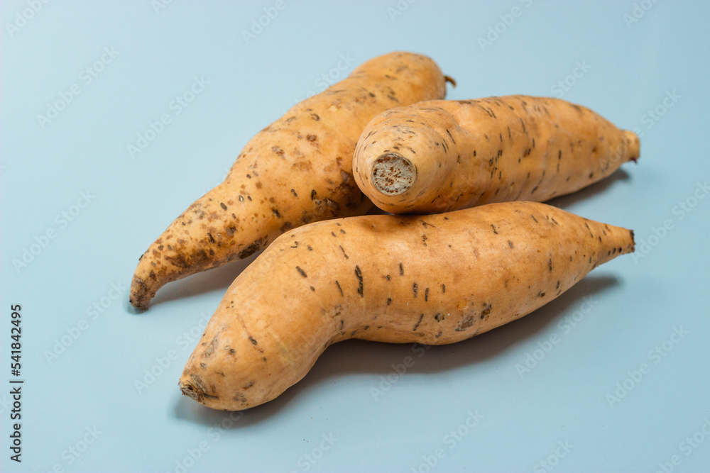 Cilembu sweet potato "Ipomoea batatas var. Cilembu" which has a taste ...