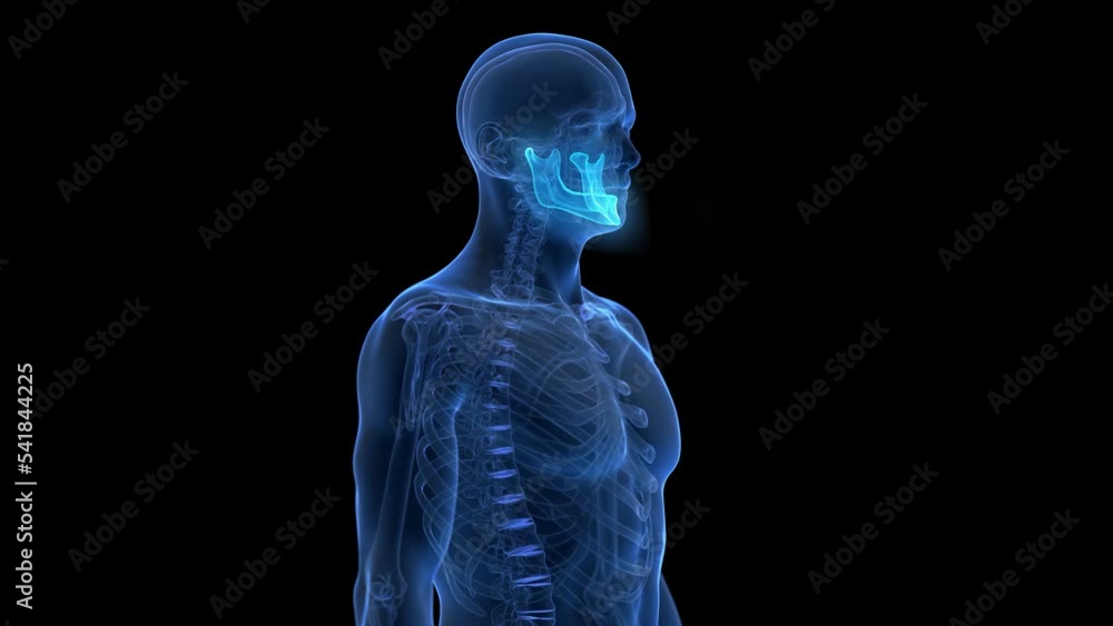 3d rendered medical animation of the temporomandibular joint Stock ...
