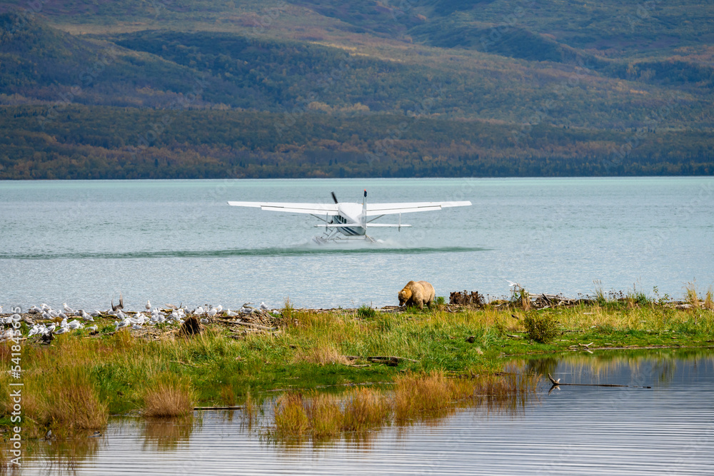 Remote travel by float plane, landing and taking off on Nak Nak lake ...