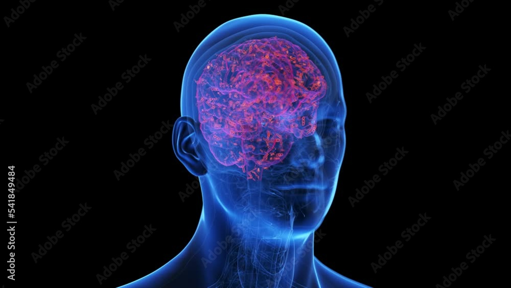 3d rendered medical animation of an infected brain Stock Video | Adobe ...