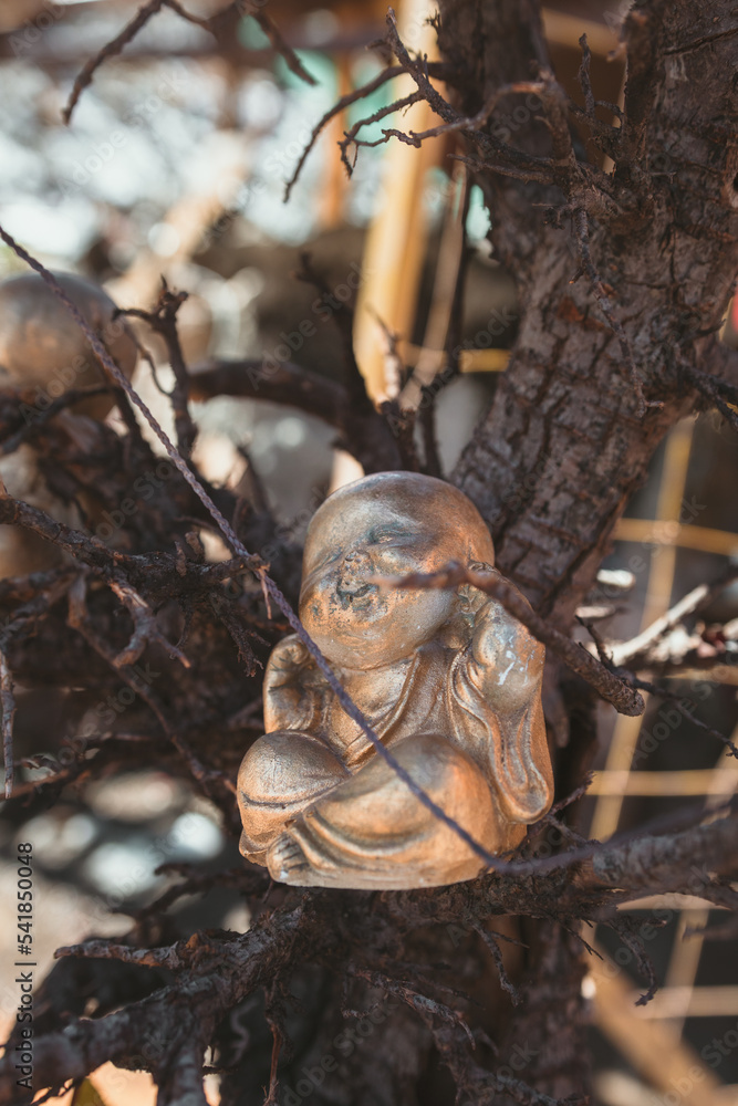 Buddha in the tree Stock Photo | Adobe Stock