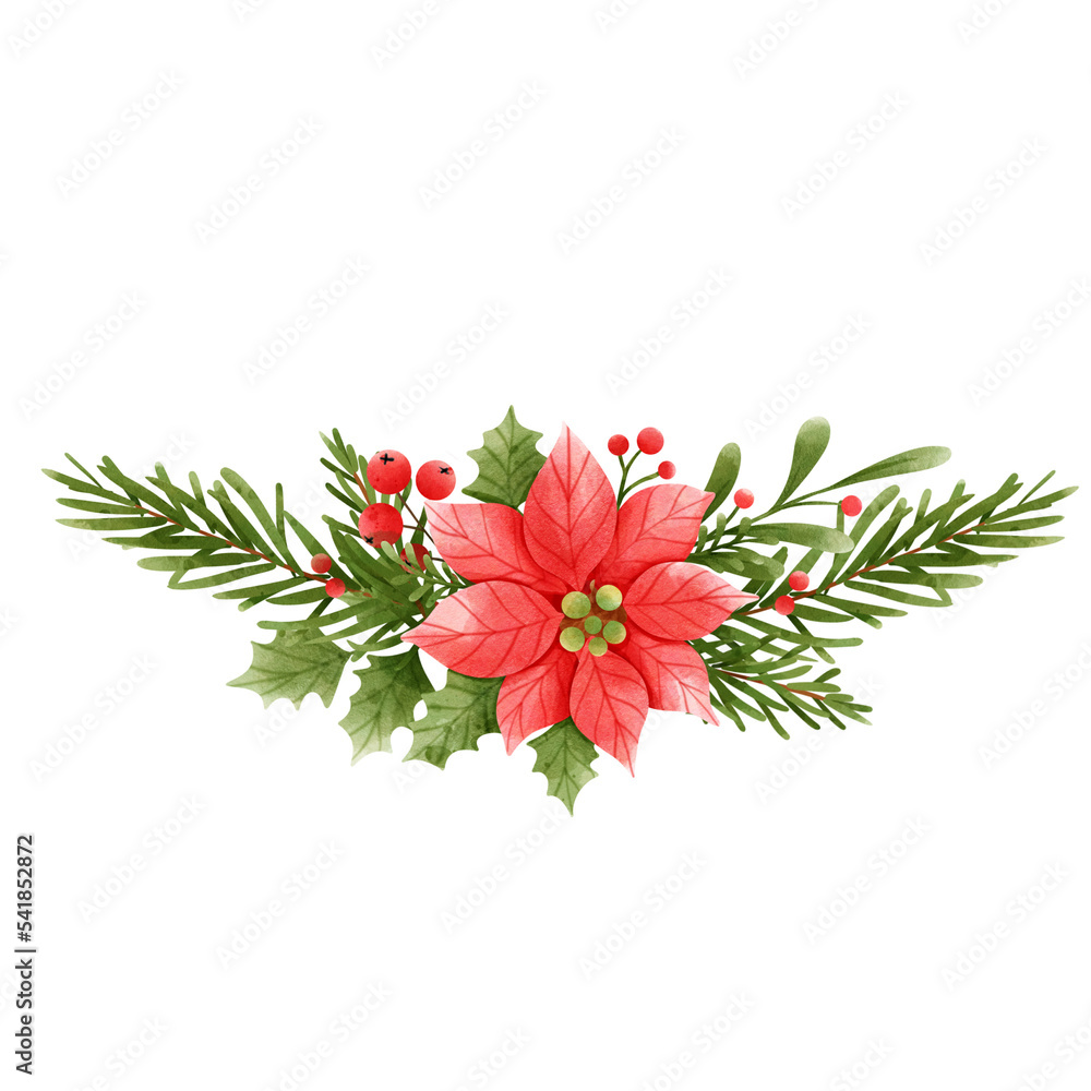 christmas flower Stock Illustration | Adobe Stock