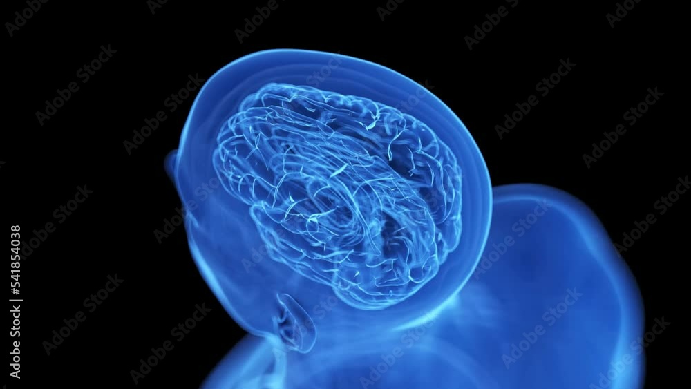 3d rendered medical animation of an active human brain Stock Video ...