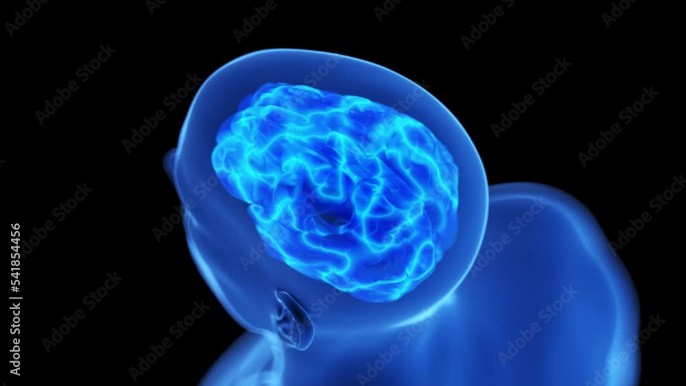 3d rendered medical animation of an active human brain Stock Video ...