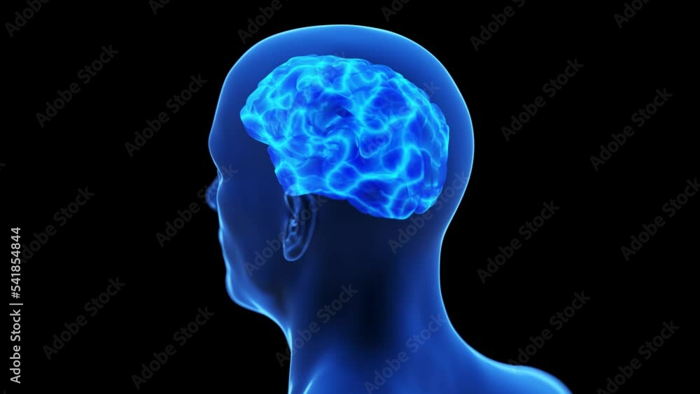 3d rendered medical animation of an active human brain Stock Video ...