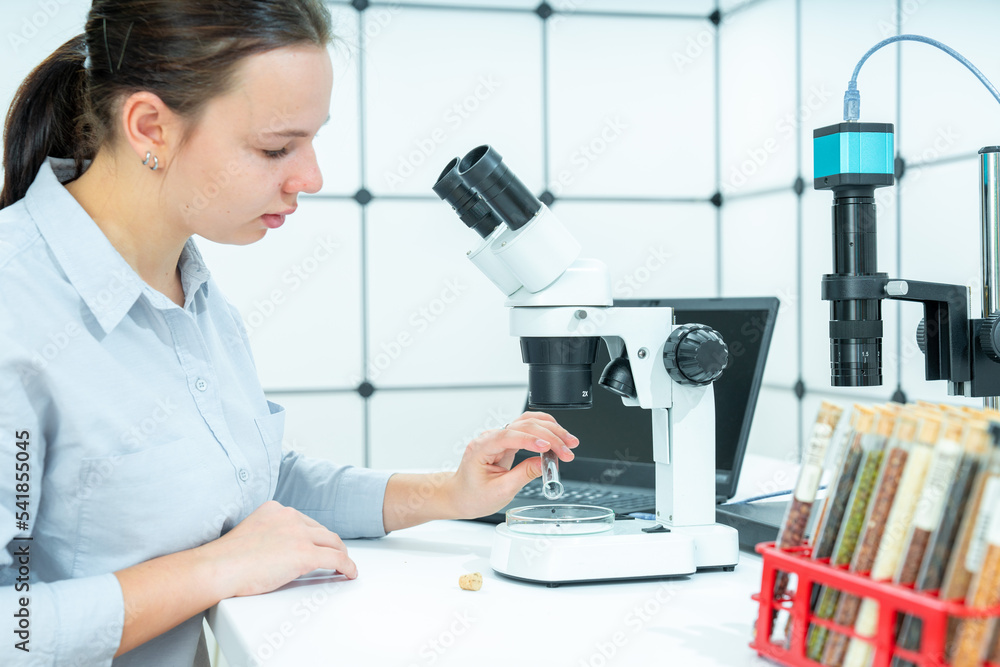 schoolgirl student studying different seeds of plants at a biology ...