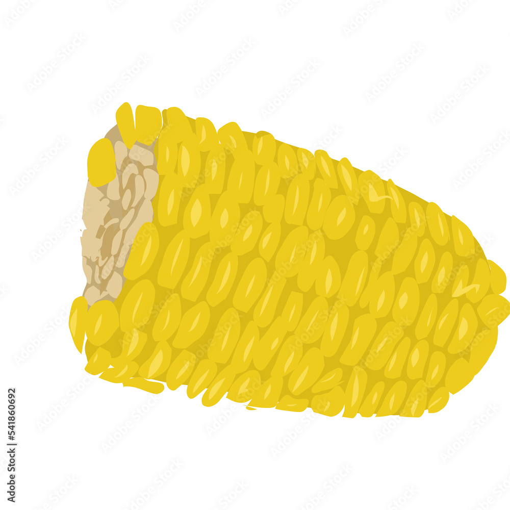 yellow corn Stock Illustration | Adobe Stock