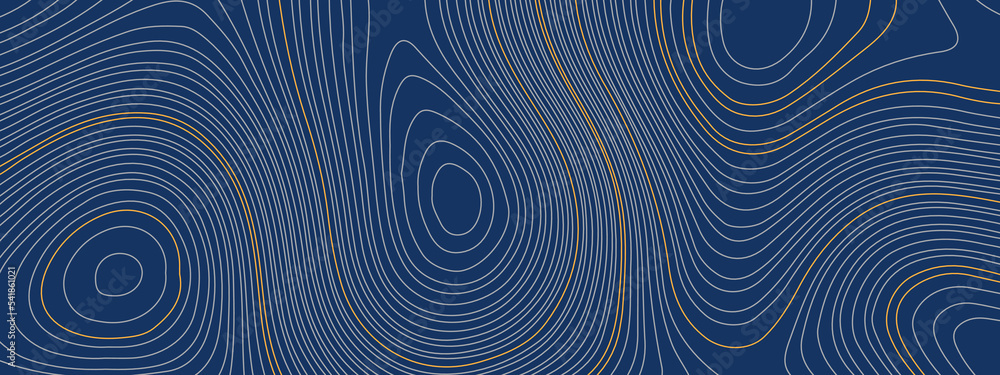 The stylized multicolored abstract topographic map with lines and ...