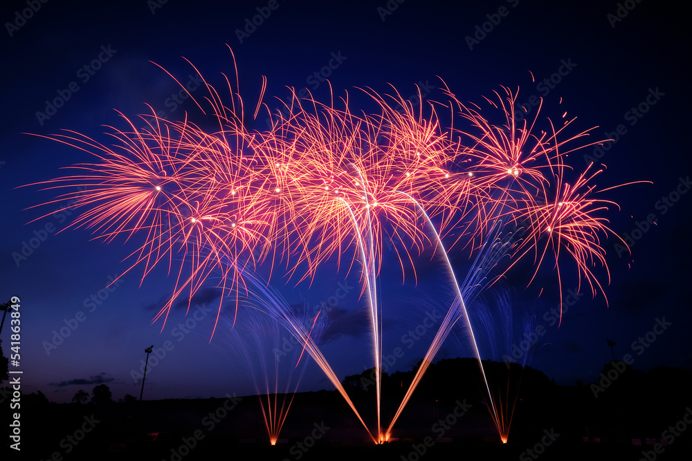 fireworks in the sky Stock Photo | Adobe Stock