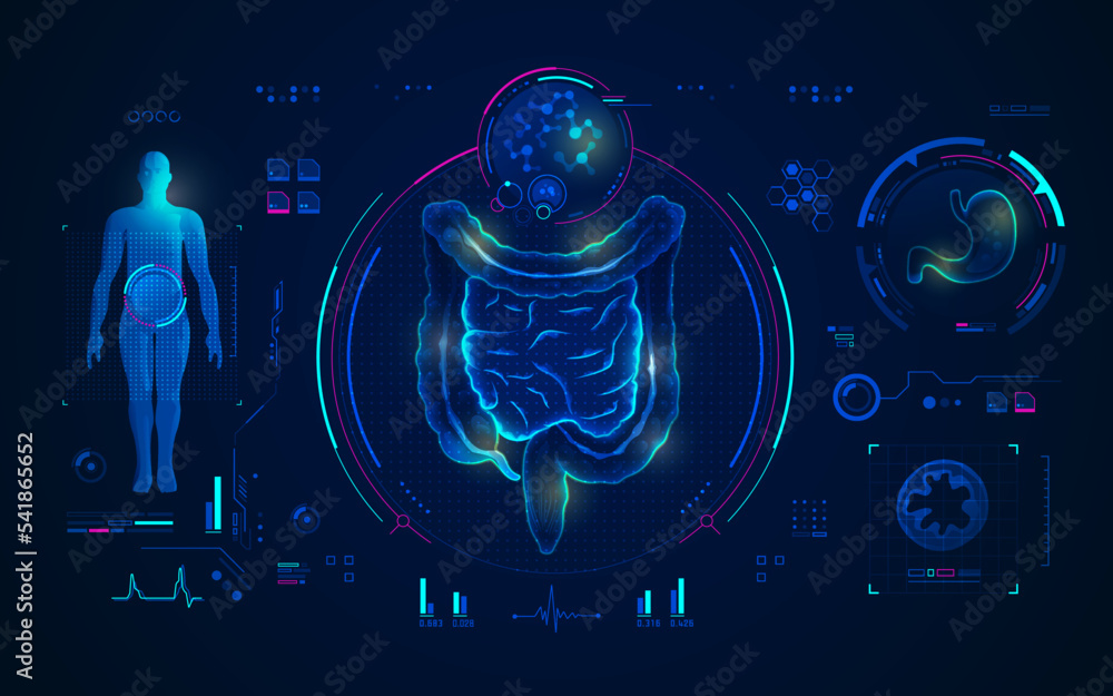 concept of medical technology, graphic of intestine and stomach in x ...