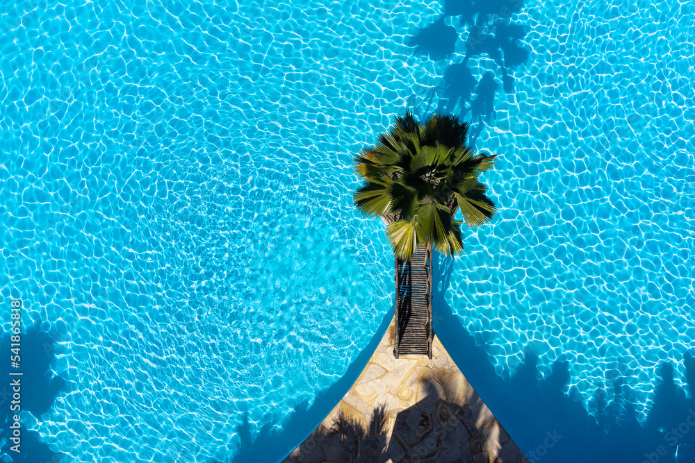 Swimming pool drone shot with palm tree Stock Photo | Adobe Stock