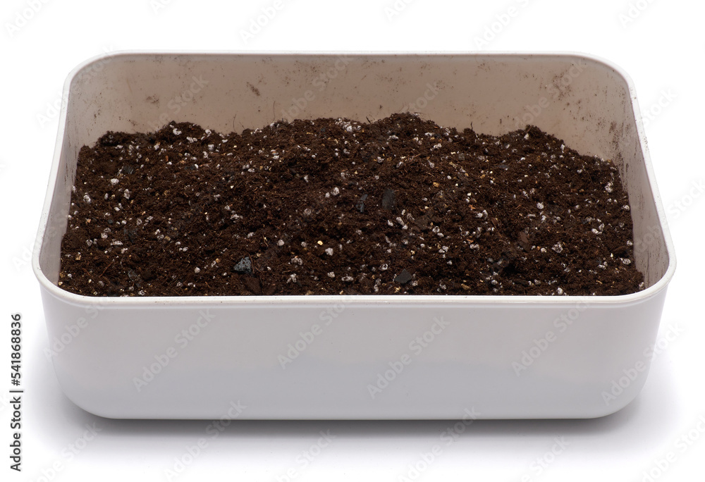 plastic box with substrate soil for transplanting houseplants isolated ...