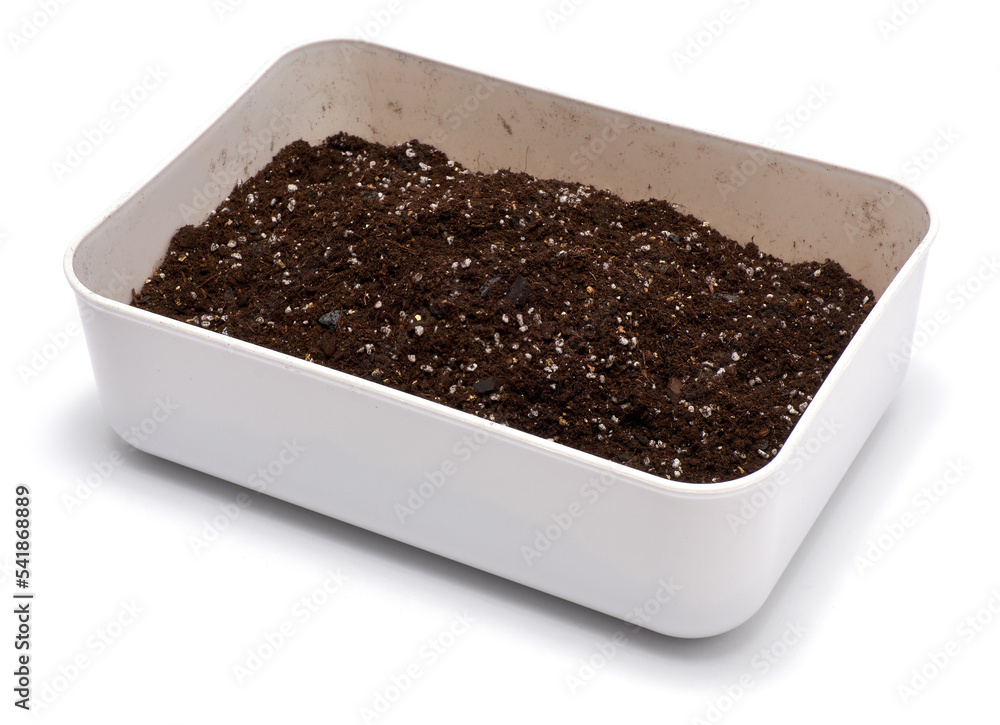 plastic box with substrate soil for transplanting houseplants isolated ...