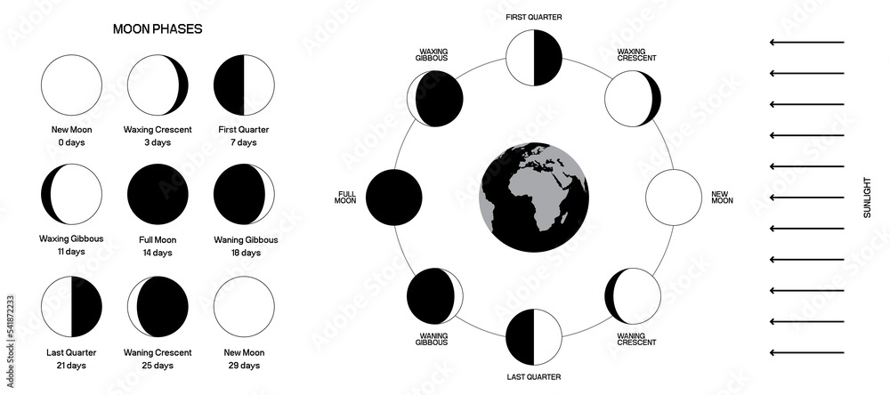 Moon phases scheme sphere shadow cycle astronomy icon set. Vector ...
